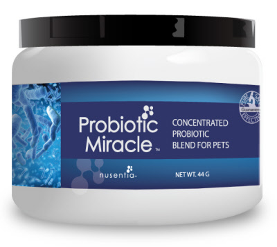 Probiotic Miracle