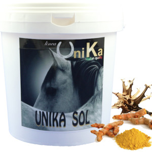 Unika Sol - (MSM Plus) 1 kg | 200410